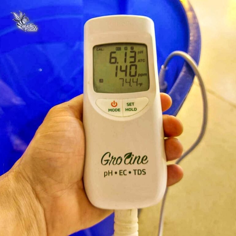 Importance of pH Levels for Cannabis Cultivation – AudioKush